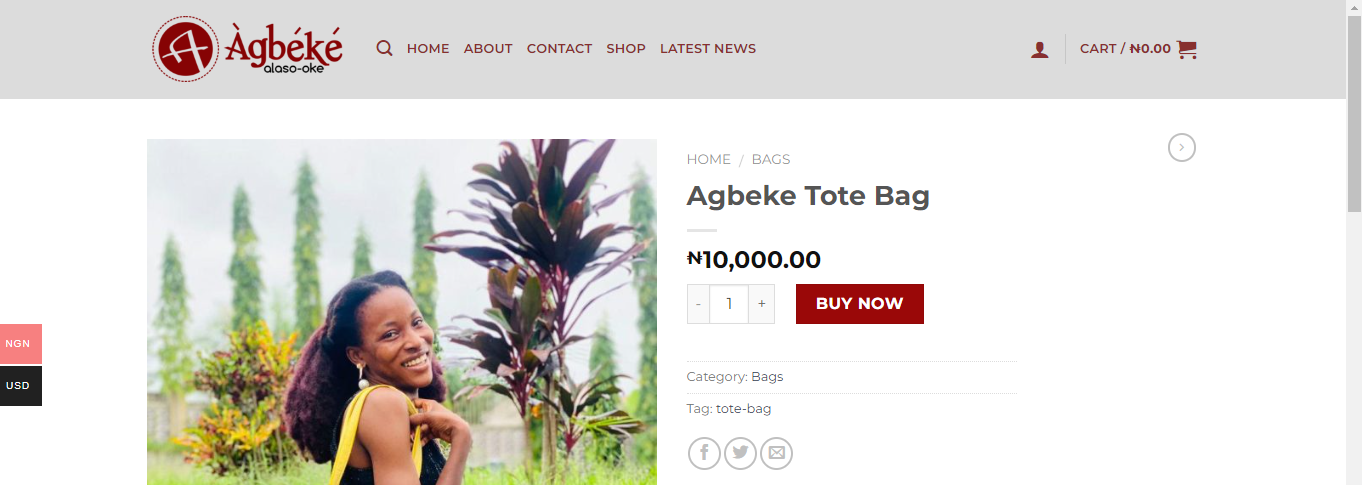 Agbeke Alaso-oke - Olusegun Adedeji - Web Developer, Email Marketer ...